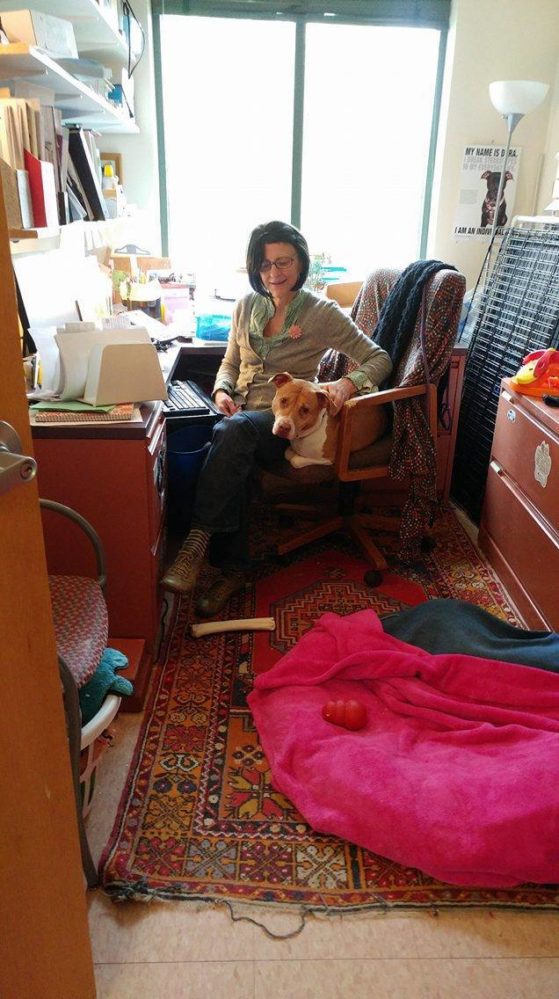 Day in the Life of a Nonprofit Communicator - Michelle Livanos ...